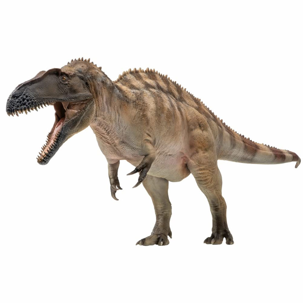 Fergus the Acrocanthosaurus