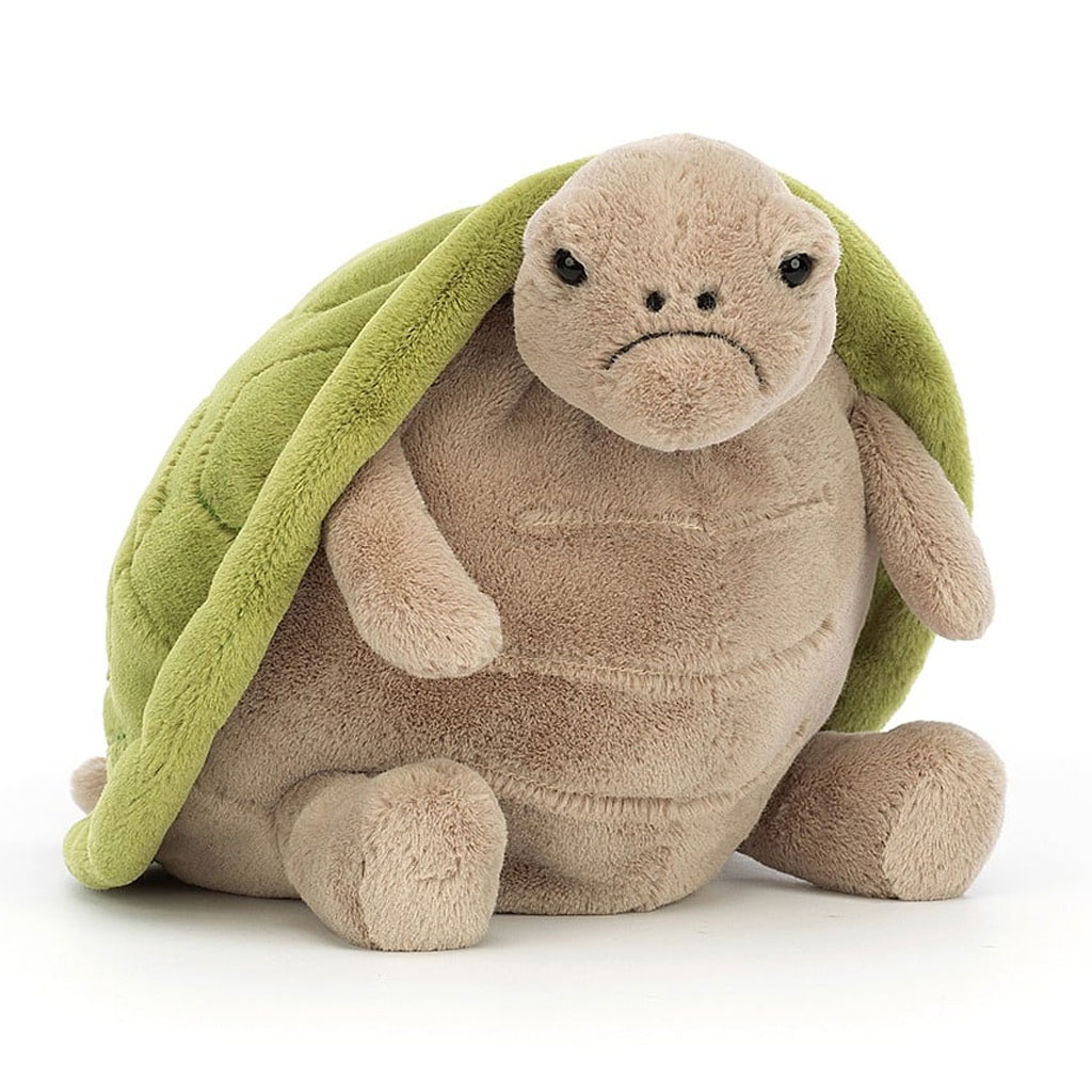 Jellycattimmy Turtle